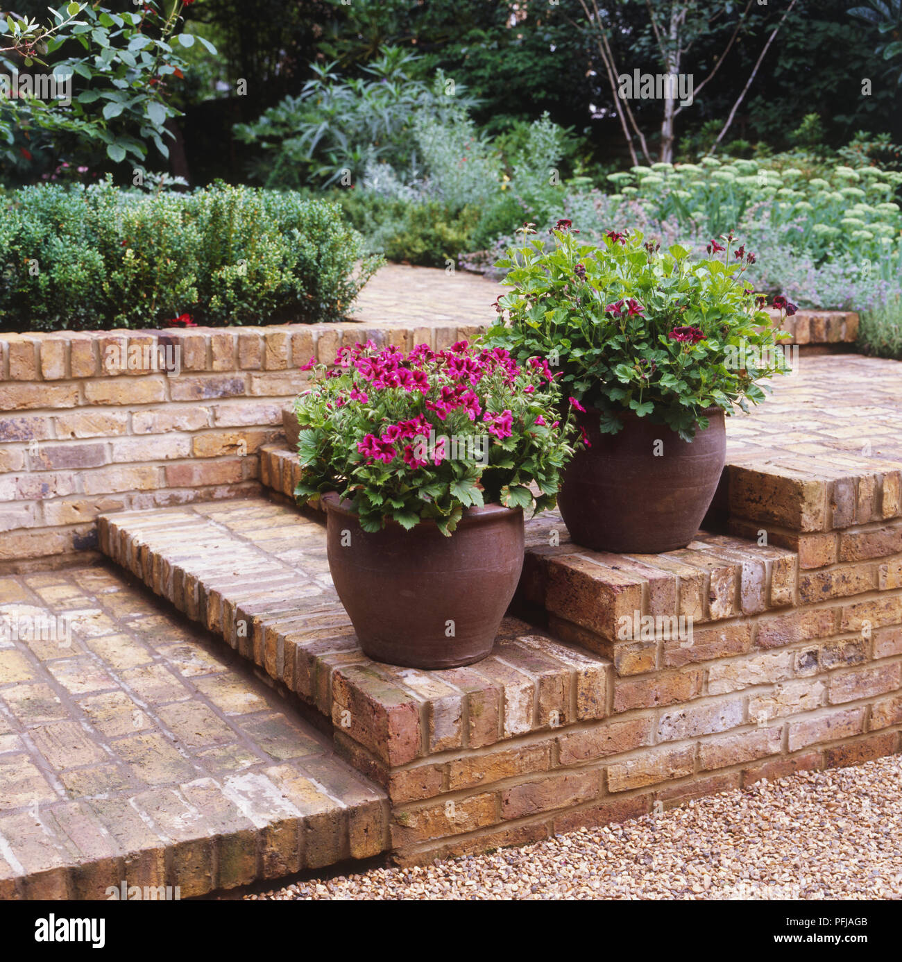 Plant pot on garden steps hi-res stock photography and images - Alamy