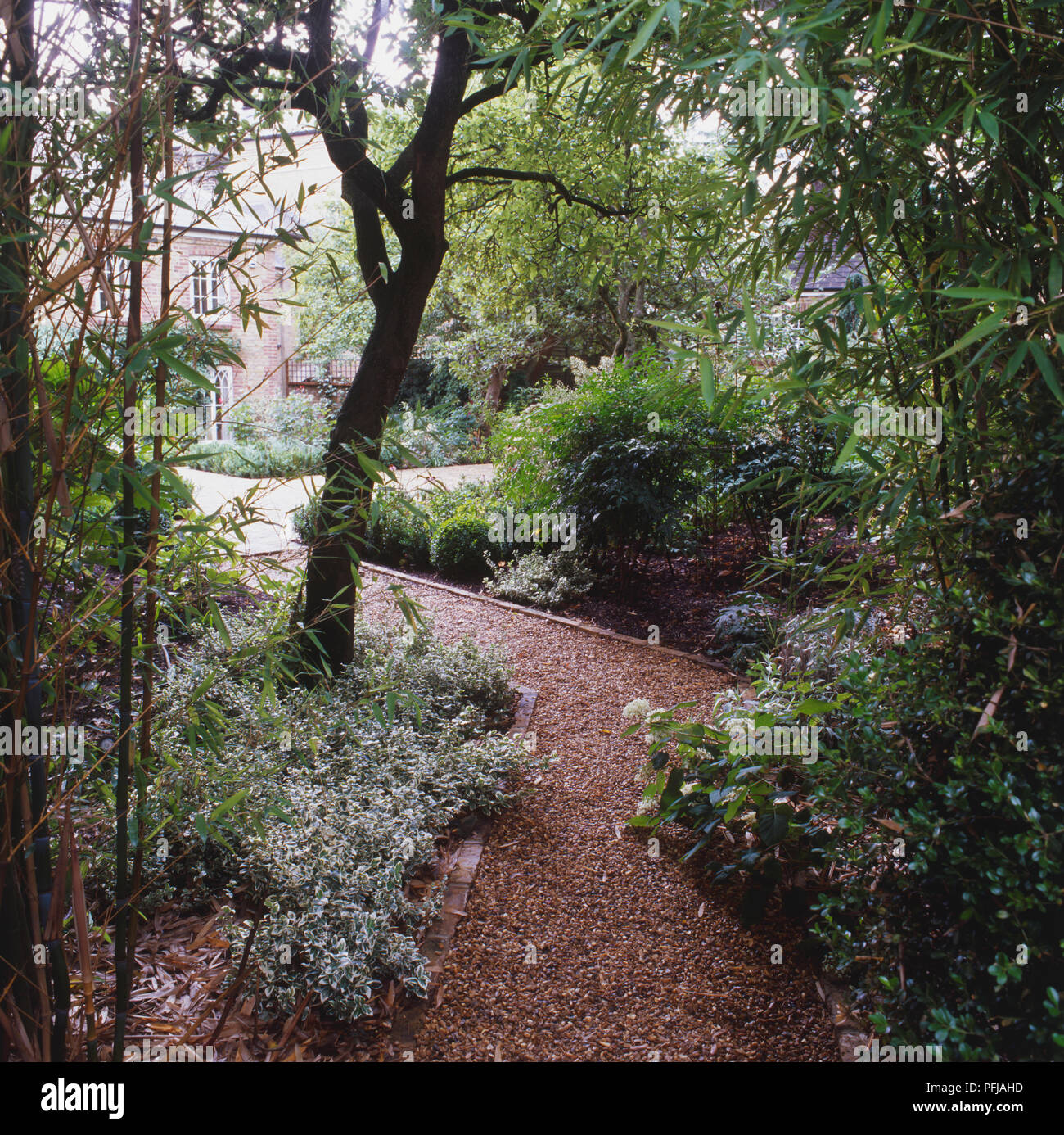 Tree-lined gravel path leading up to a house Stock Photo - Alamy