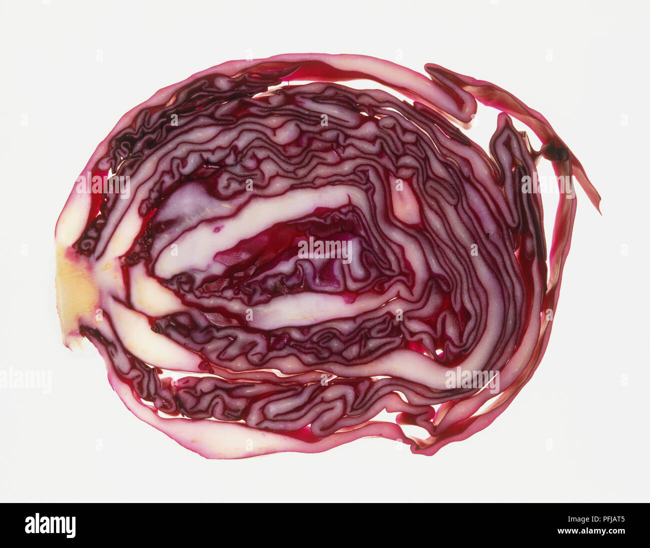 Red cabbage cross section hi-res stock photography and images - Alamy