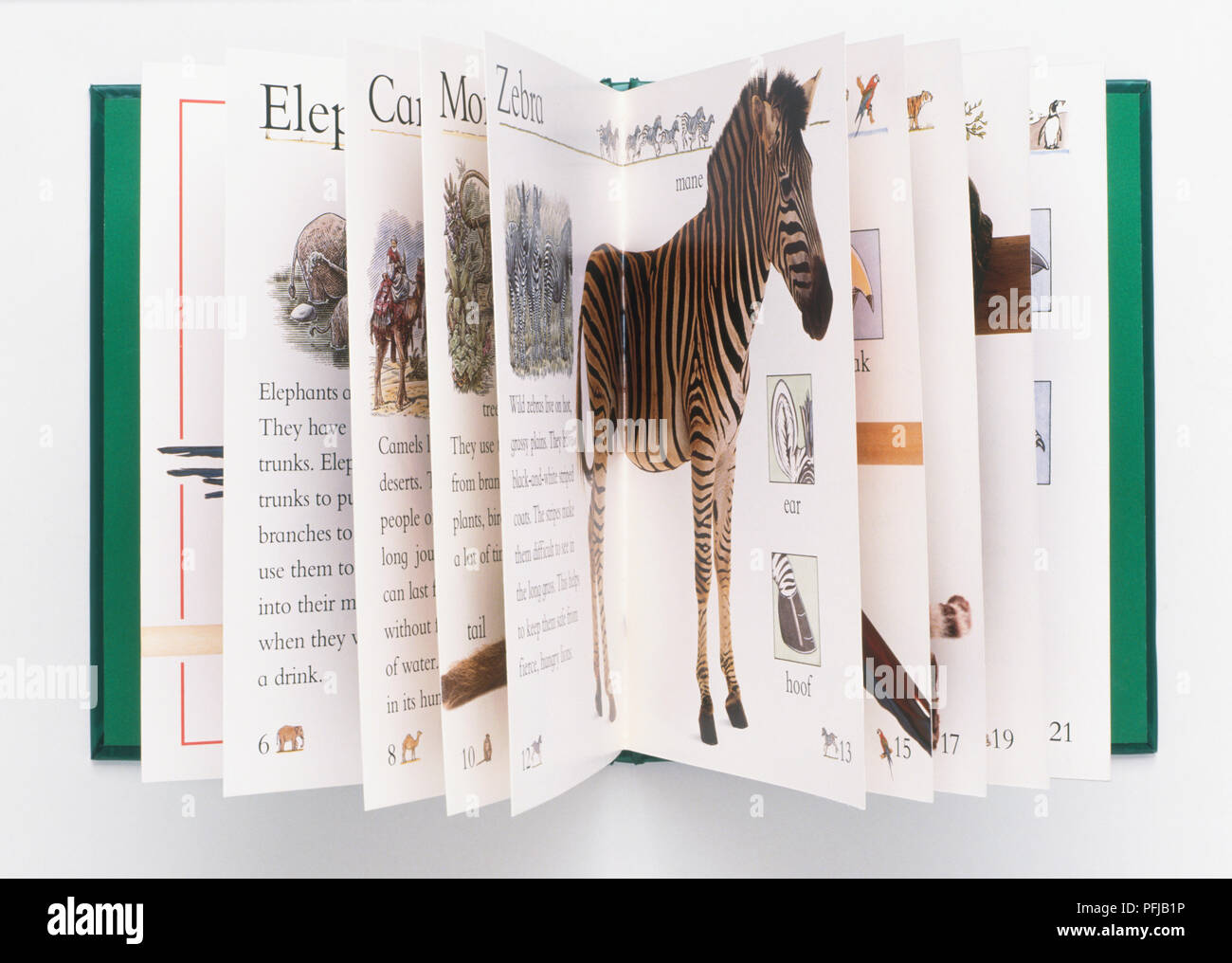 Animal picture book, open Stock Photo - Alamy