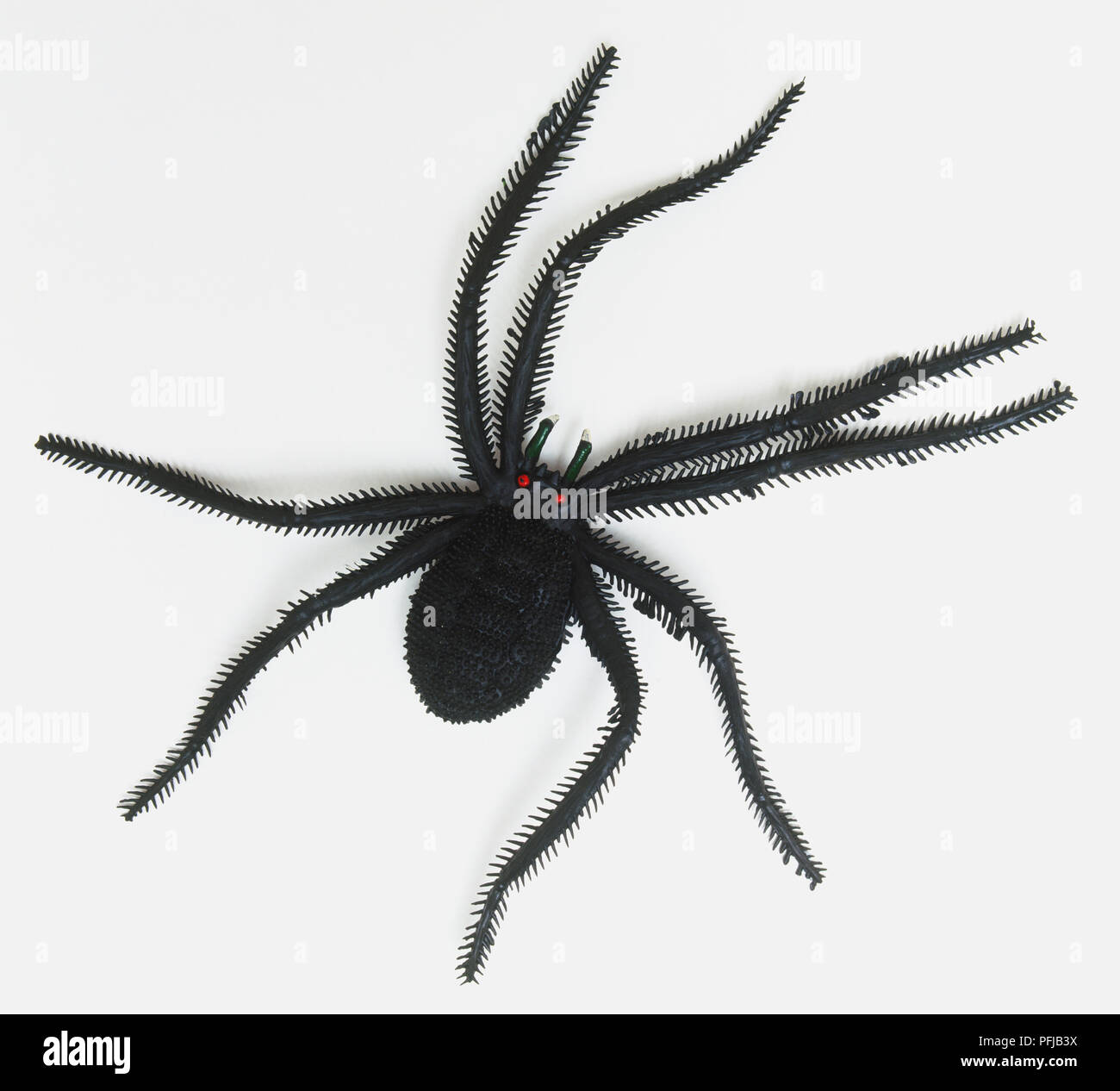 Black toy spider, view from above Stock Photo - Alamy