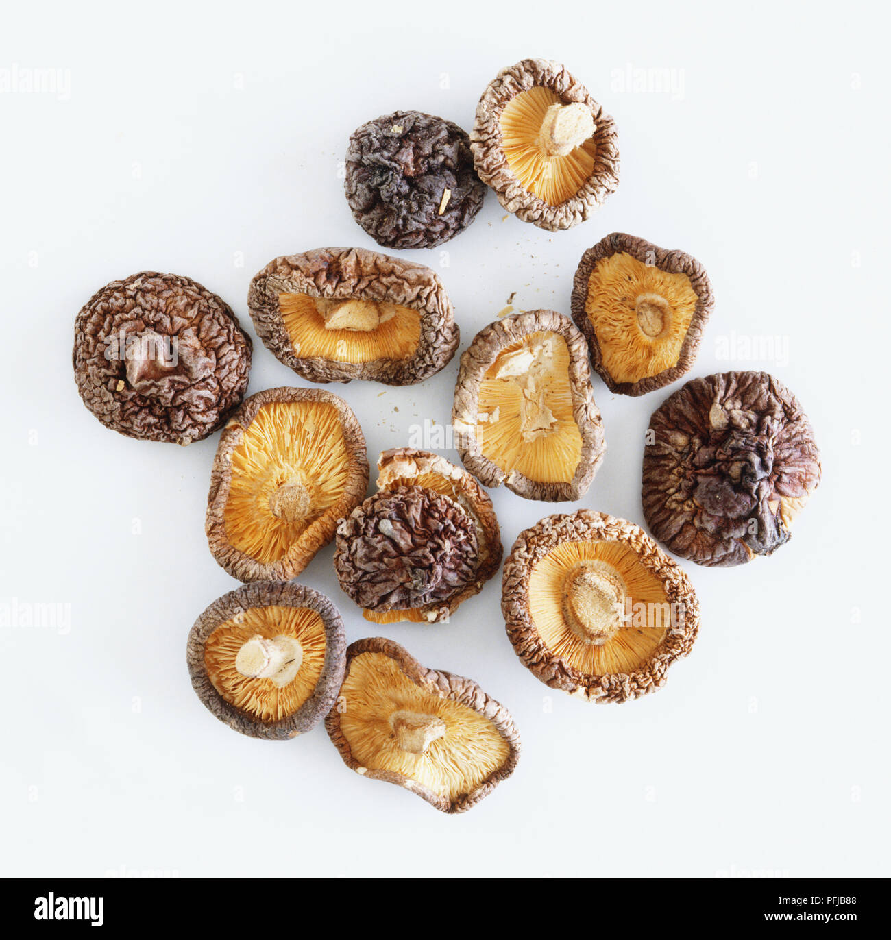 Dried shitake mushrooms (Lentinus edodes Stock Photo - Alamy