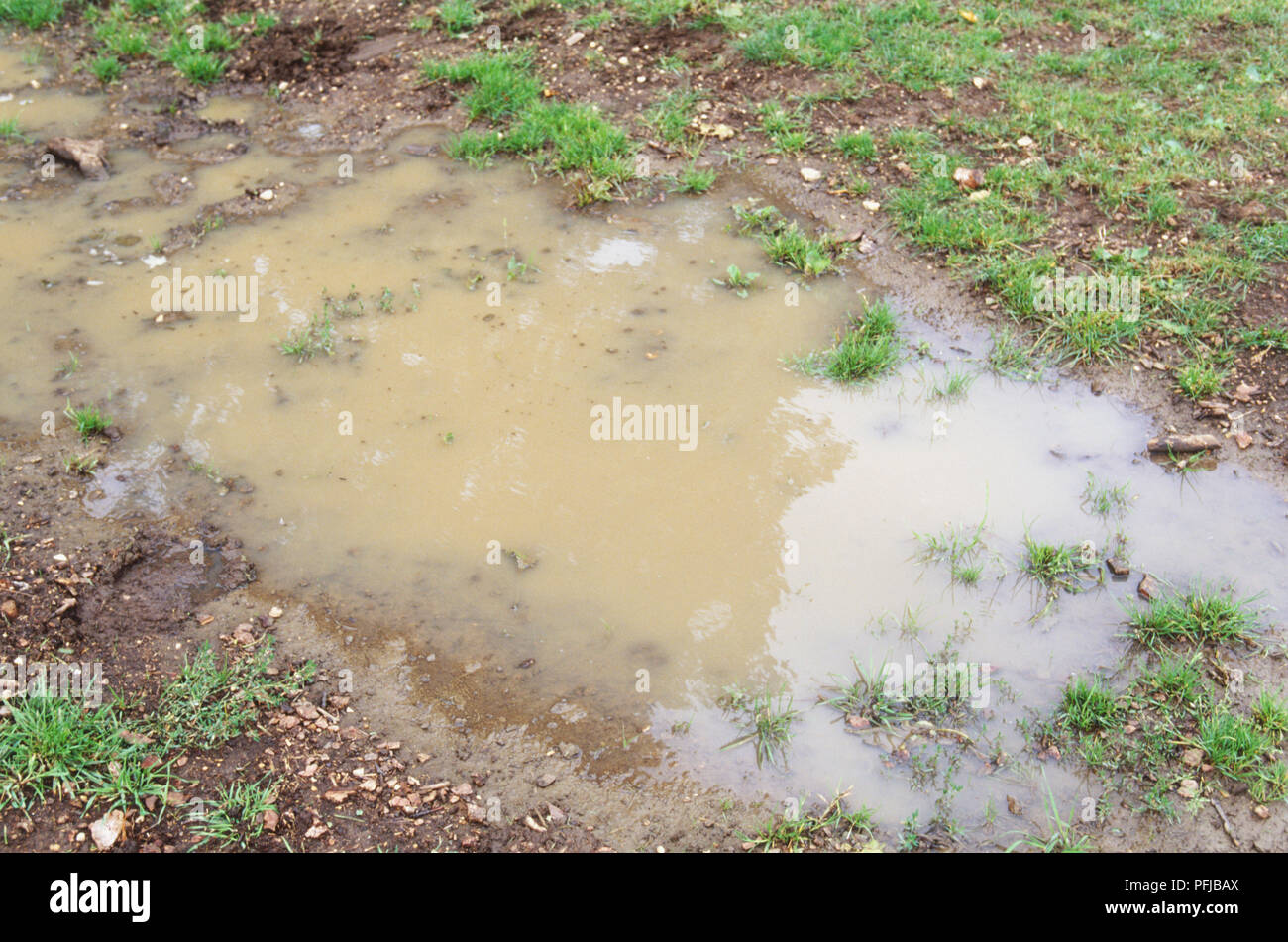 Puddle of water surrounded by muddy grass Stock Photo - Alamy