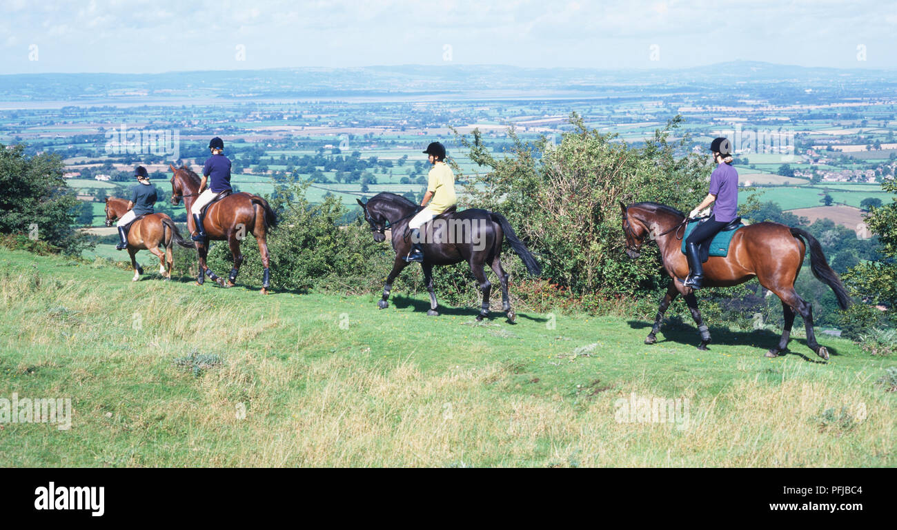 Four ponies (Equus caballus) being ridden along top of a hill Stock ...