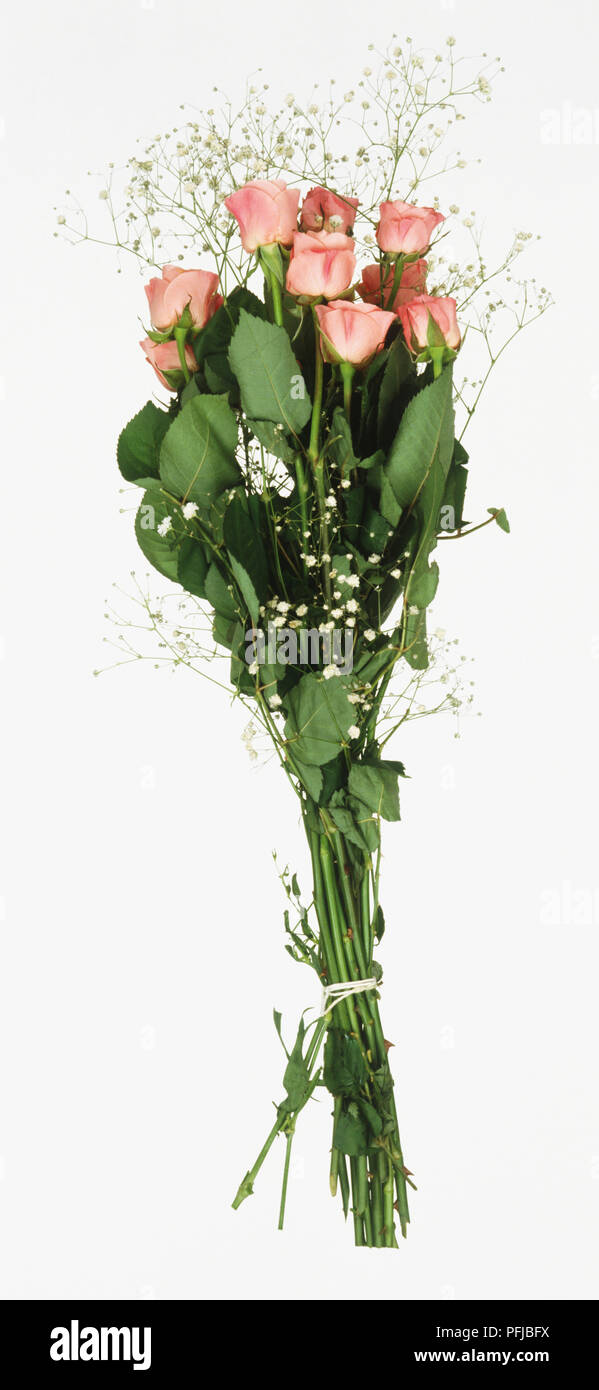 Bunch of pink roses Stock Photo - Alamy