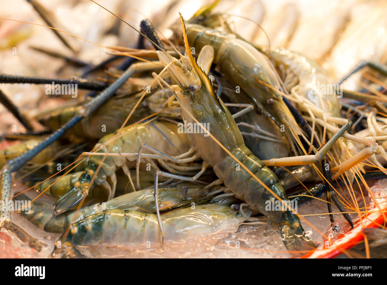 Market thailand tiger hi-res stock photography and images - Alamy