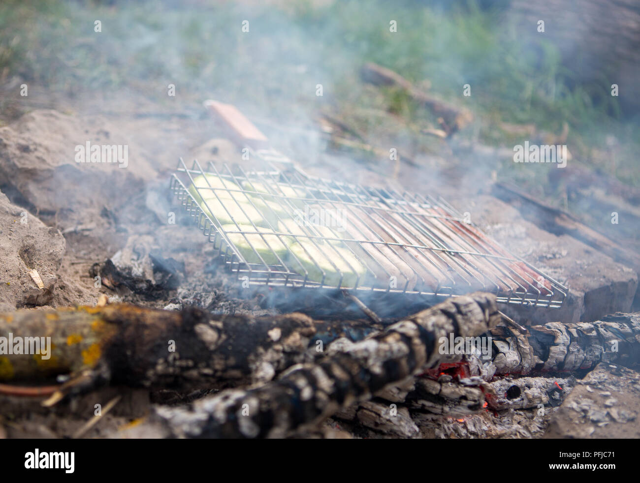 Eco barbecue hi-res stock photography and images - Alamy