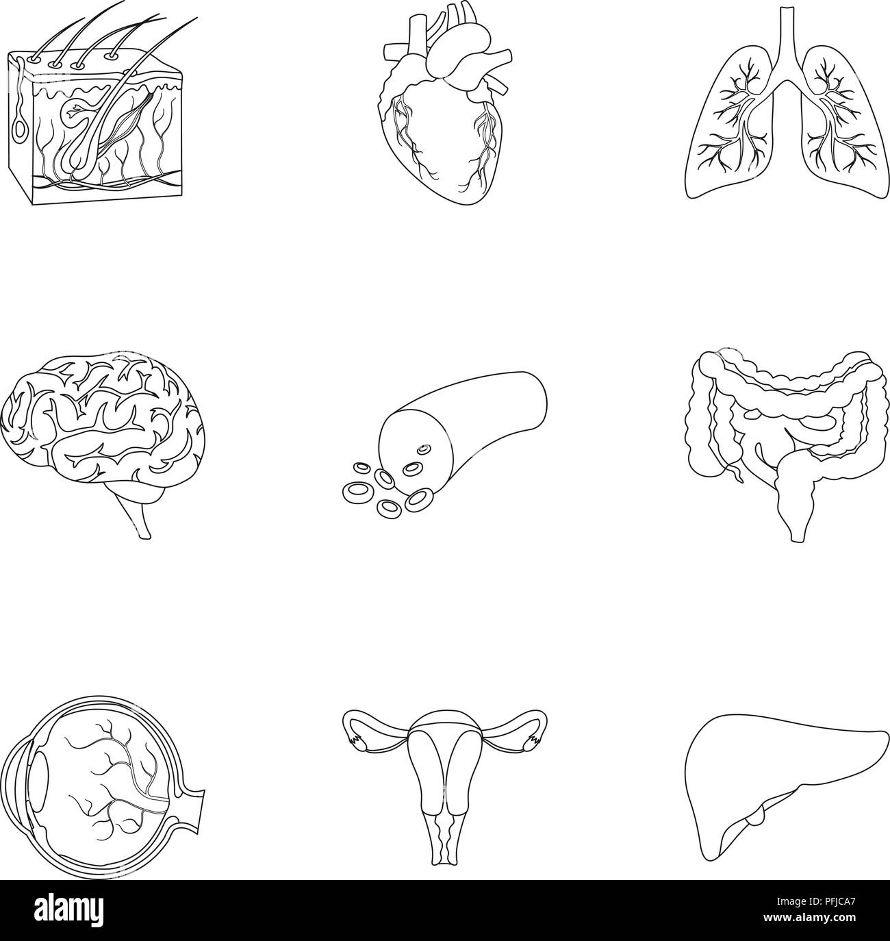 Organs set icons in outline style. Big collection of organs vector ...
