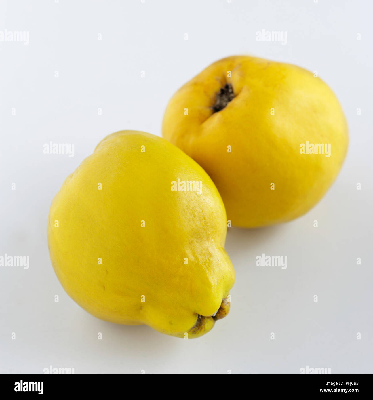 Two ripe quinces hi-res stock photography and images - Alamy