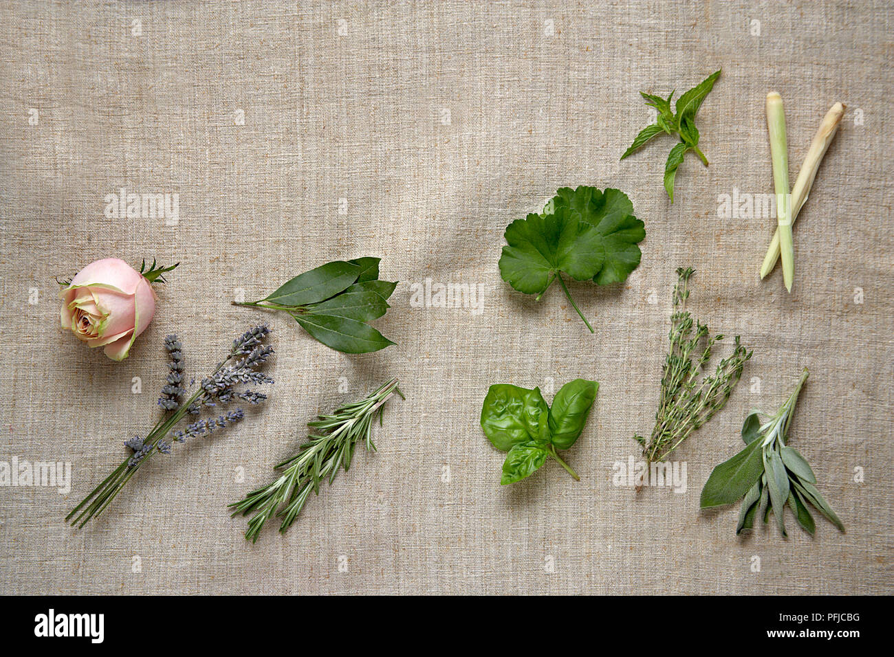 Flowers and herbs, including rose, bay leaf, lavender, rosemary, mint ...