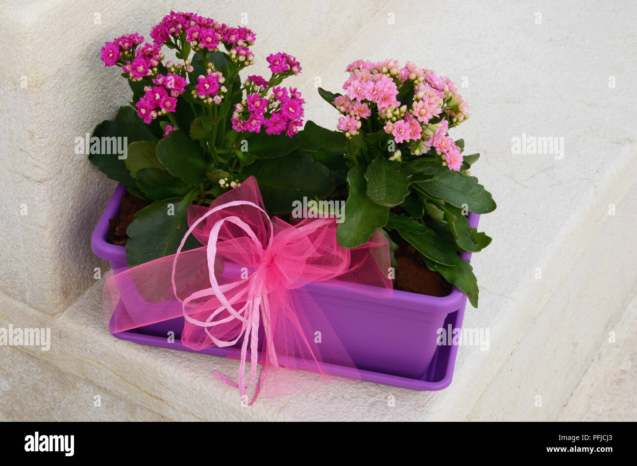Floral display italy hi-res stock photography and images - Alamy
