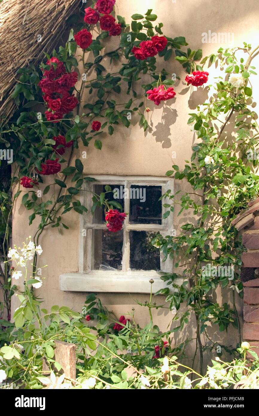 White exterior cottage hi-res stock photography and images - Alamy