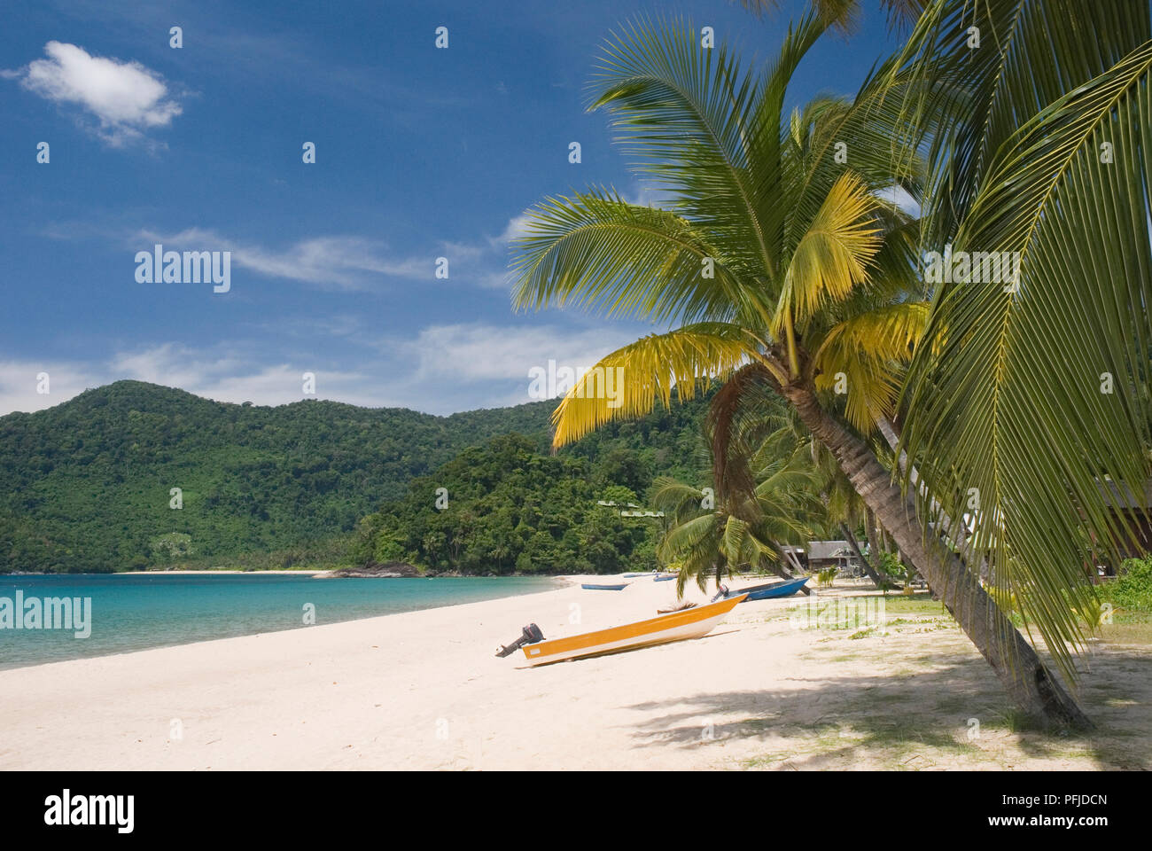 Malaysia, Tioman Island, Juara, beach with palm trees and small boats ...