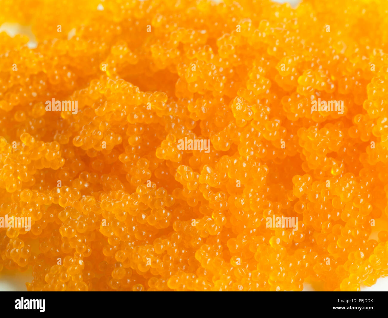 Japanese flying fish hi-res stock photography and images - Alamy