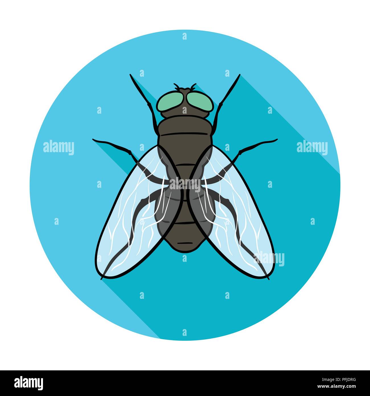 Fly icon in flat design isolated on white background. Insects symbol ...