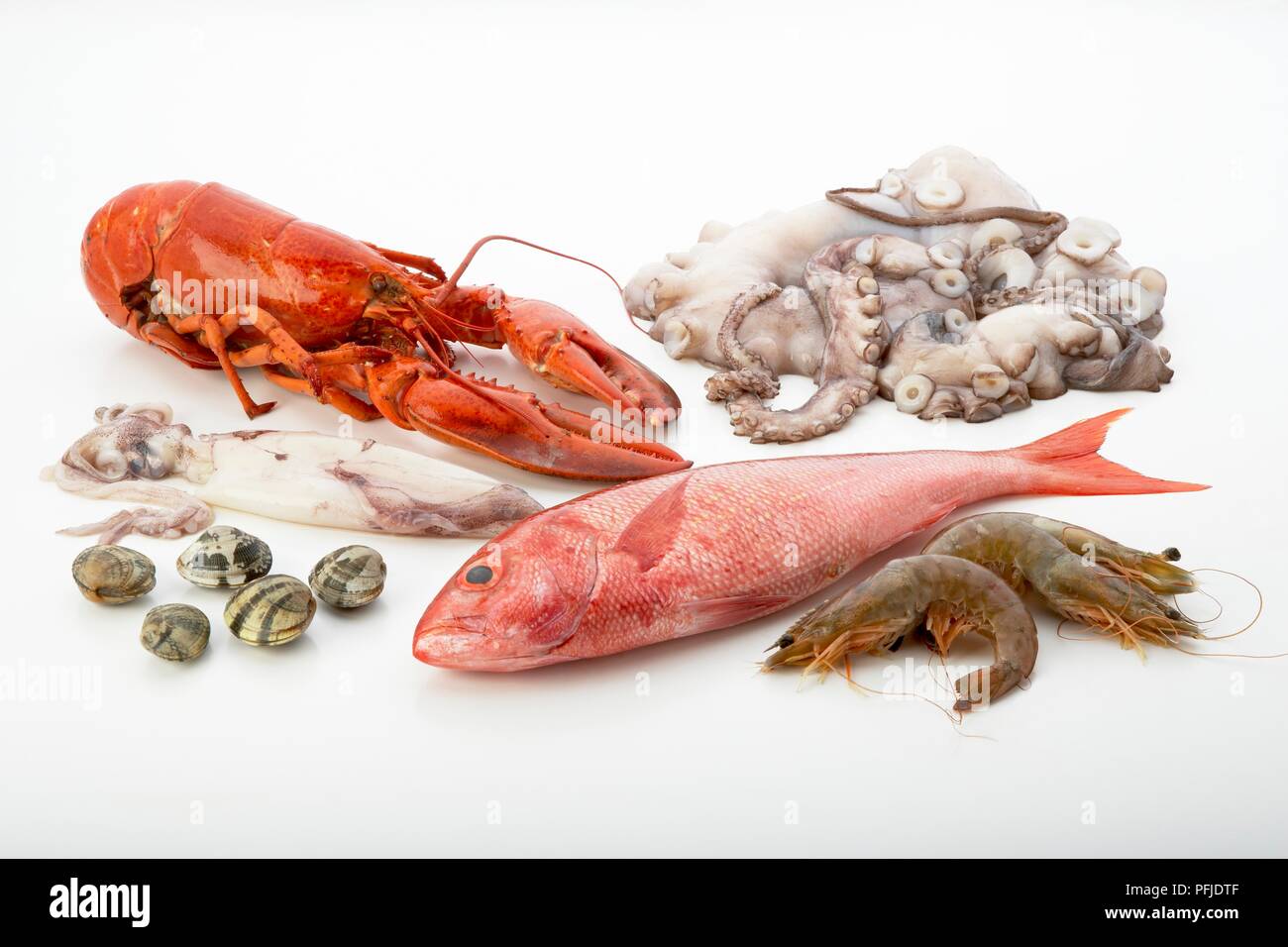 Selection of saltwater fish and seafood including squid, clams, lobster ...