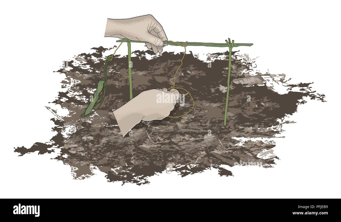 Digital composite illustration of hands making snare with wire and ...