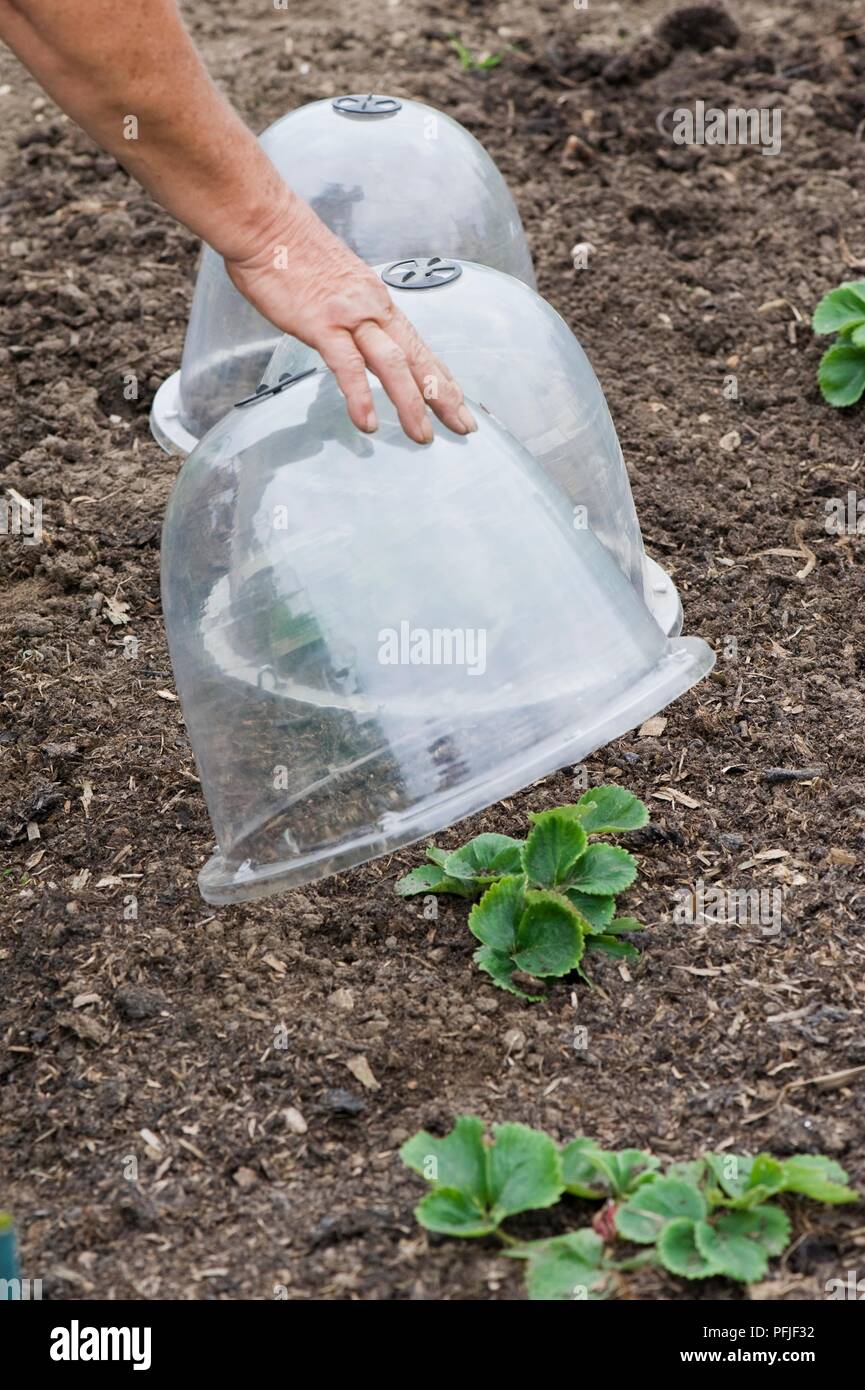 Hand lifting plant garden hi-res stock photography and images - Alamy