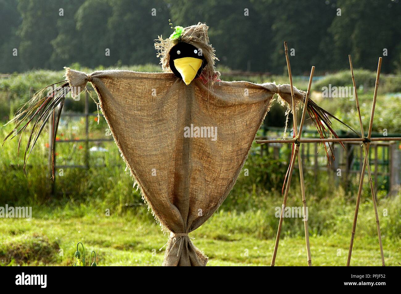 Scarecrow in allotment Stock Photo - Alamy