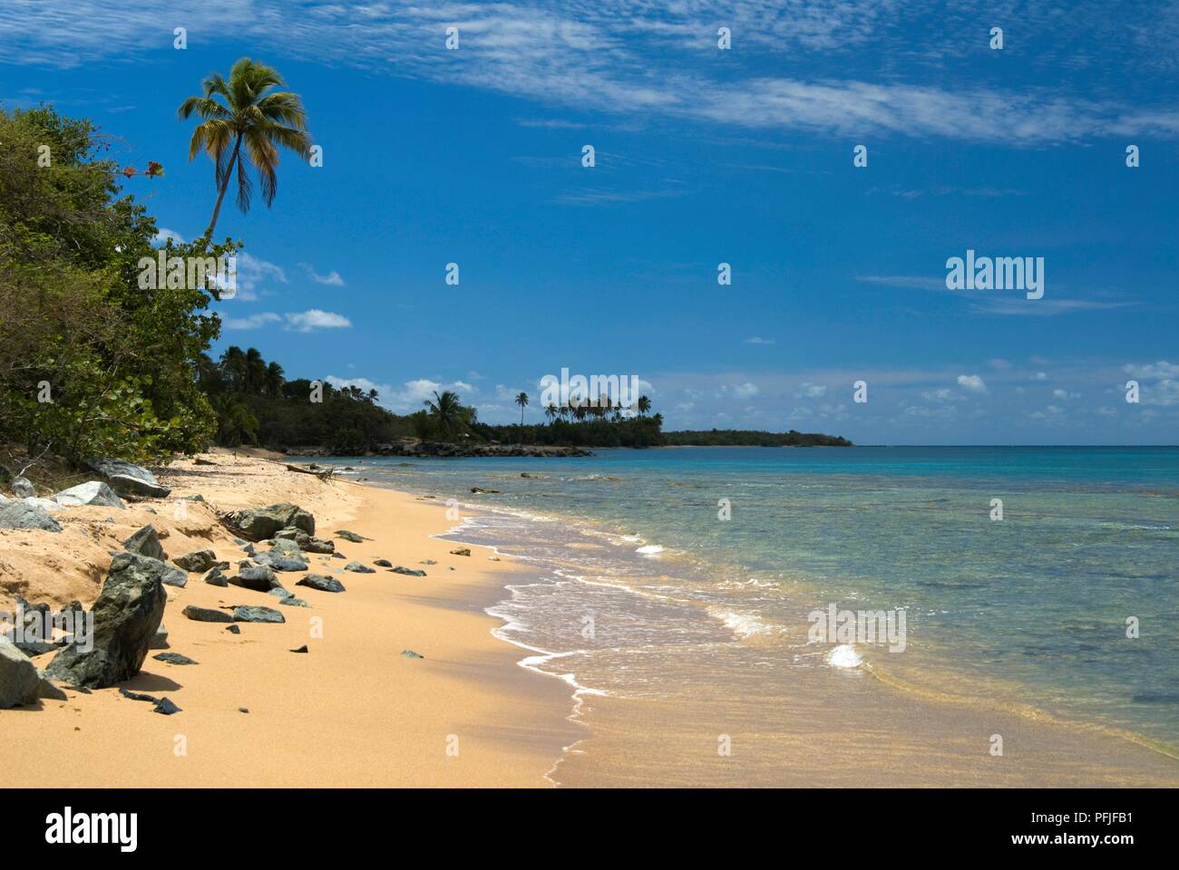 Puerto Rico, Vieques Island, Green Beach Stock Photo - Alamy