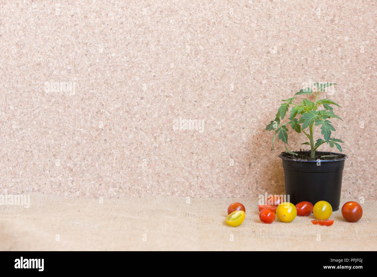 tomatoes before and after Stock Photo - Alamy