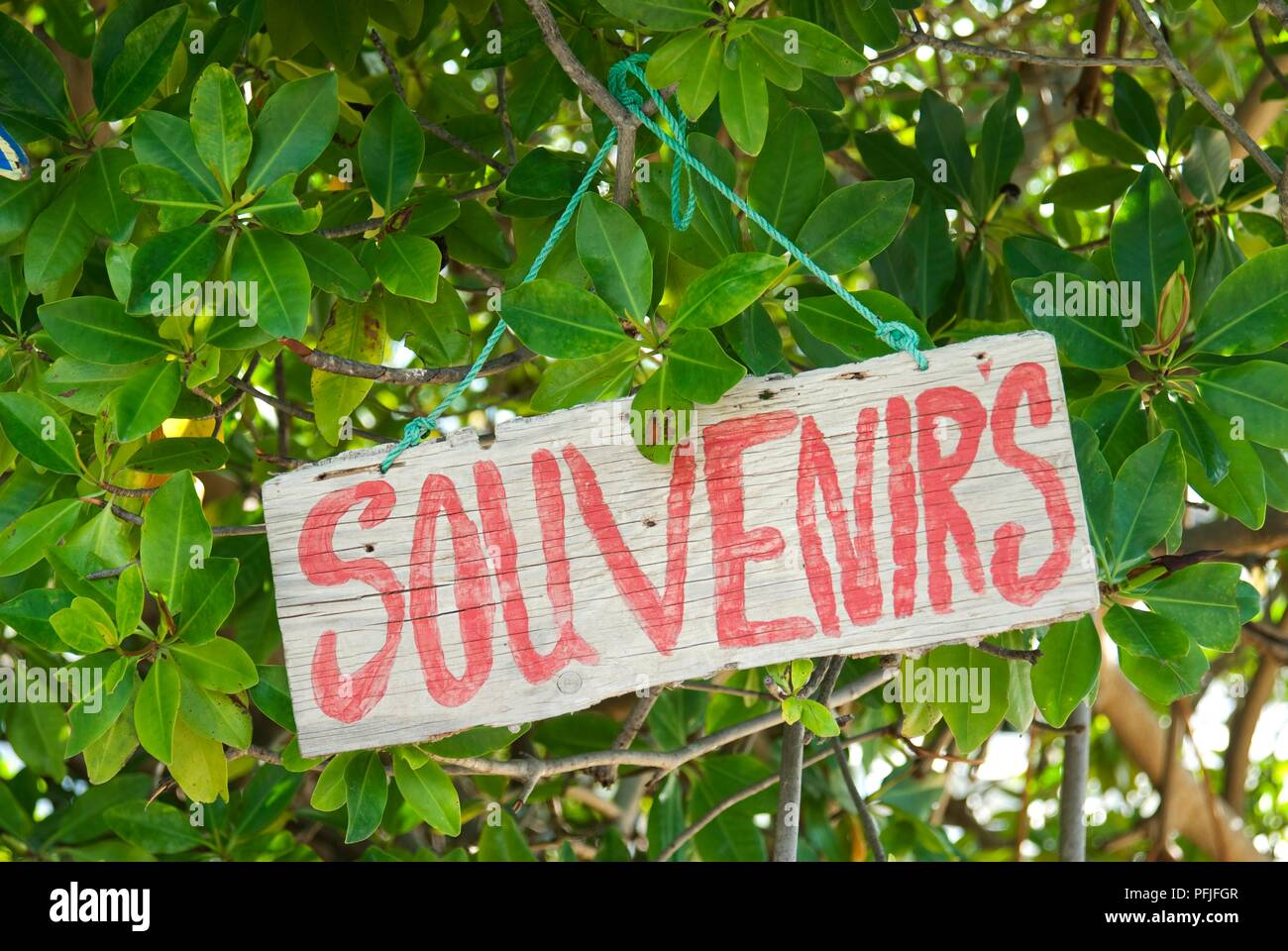 Puerto Rico, Parguera, souvenir sign hanging from tree Stock Photo - Alamy