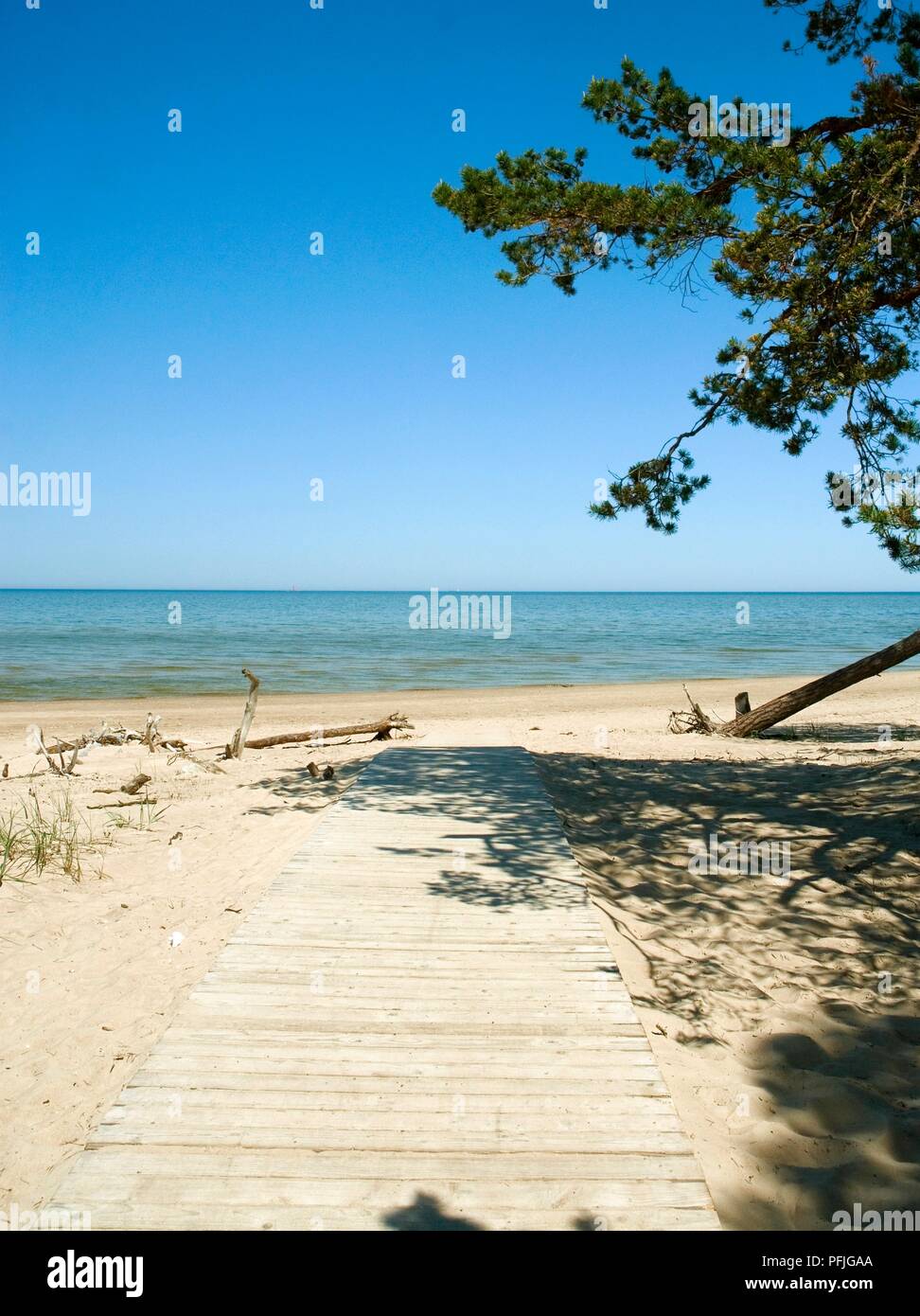 Latvia, Kolka Peninsula, Cape Kolka beach Stock Photo - Alamy