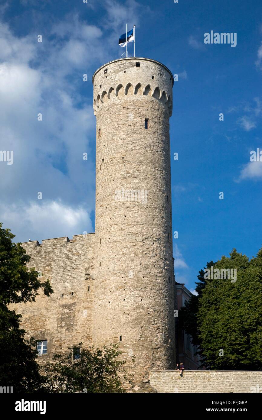 Estonia, Tallinn, Old Town, Toompea, Pikk Hermann tower Stock Photo - Alamy