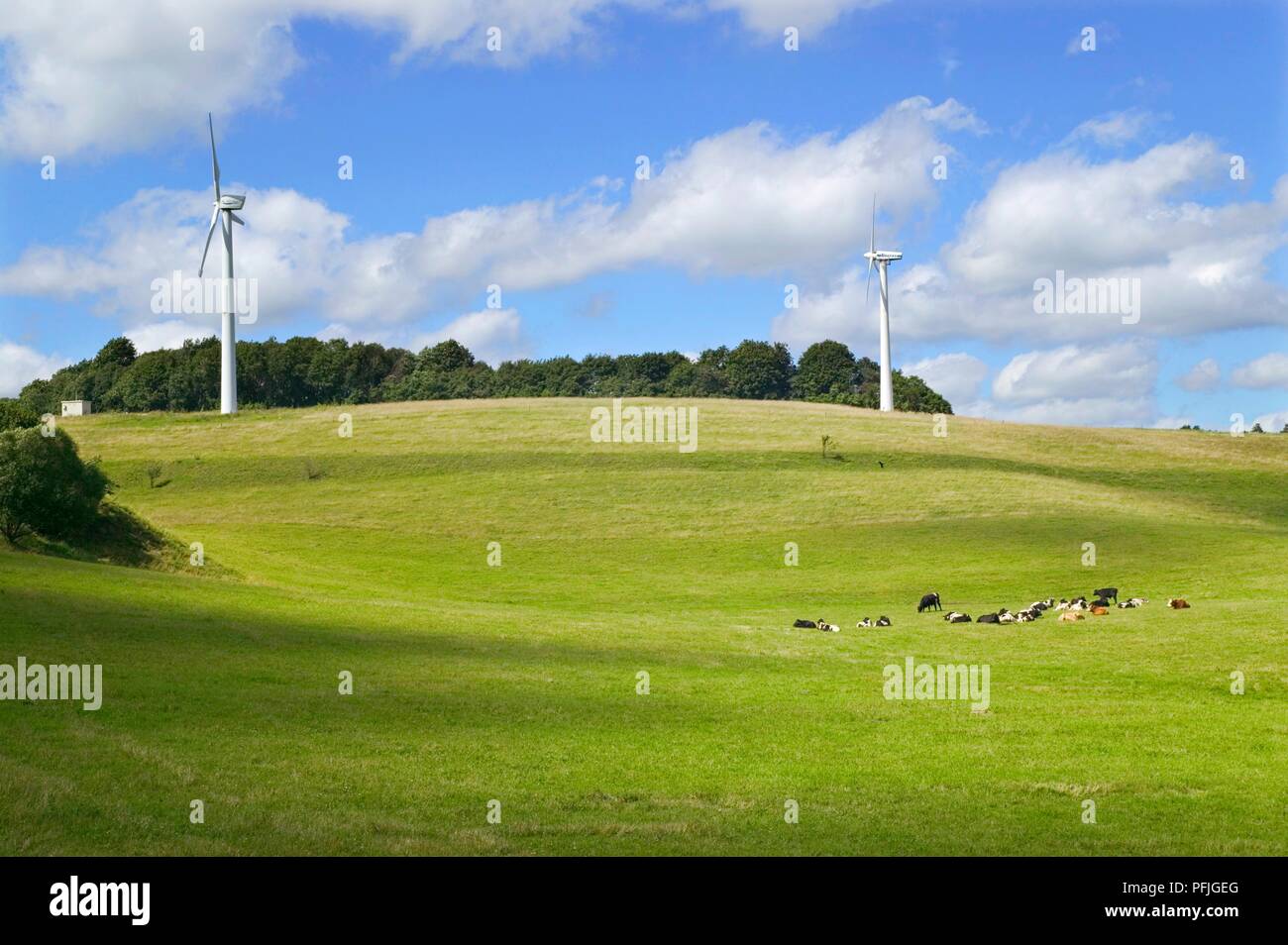 Wind turbines in lithuania hi-res stock photography and images - Alamy