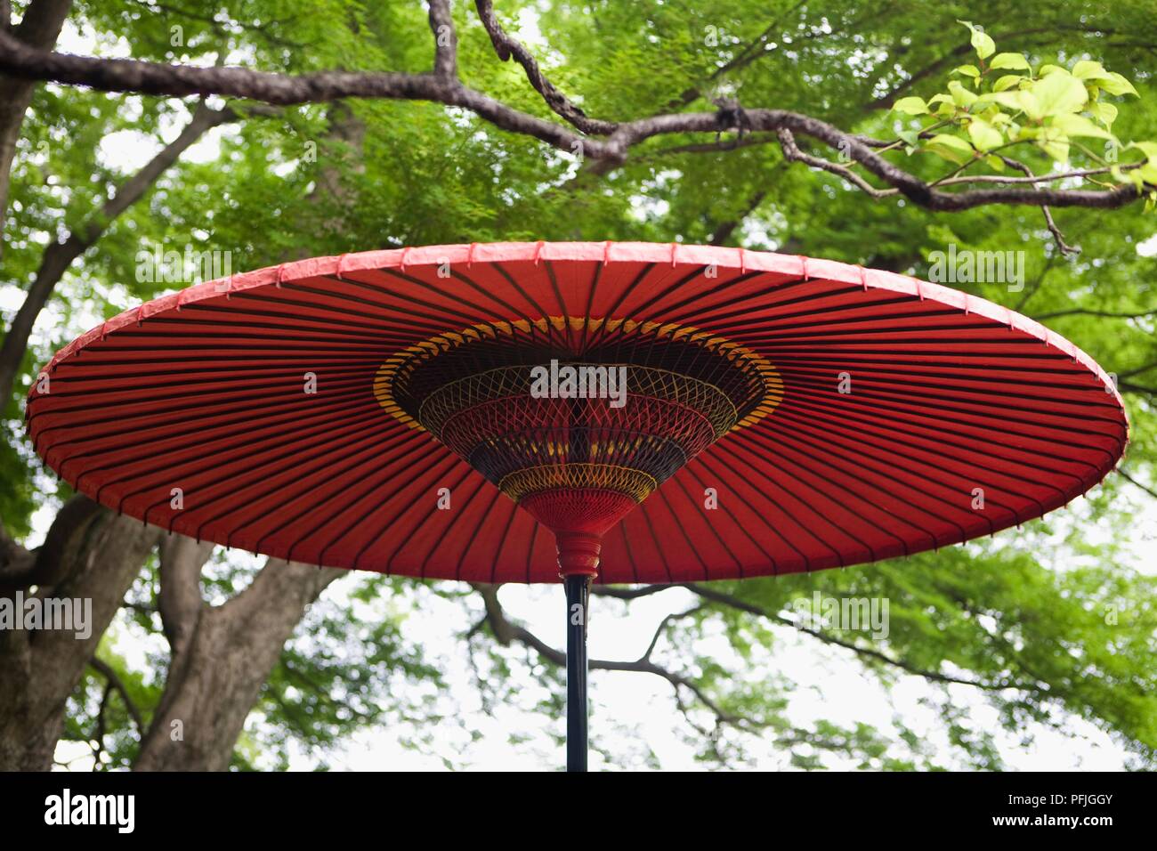 Japan, Tokyo, Taito-ku, Ueno Park, red parasol below tree Stock Photo ...