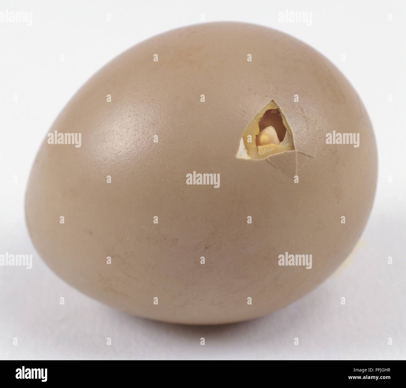 Egg cracking open hi-res stock photography and images - Alamy