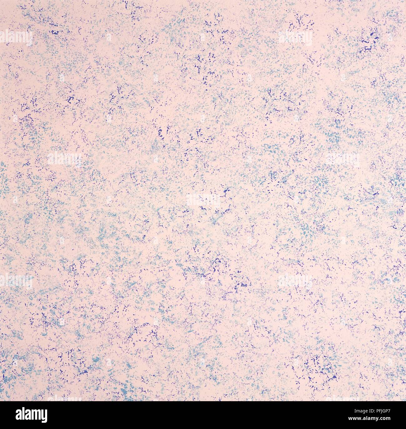 Sponge painted wall hi-res stock photography and images - Alamy