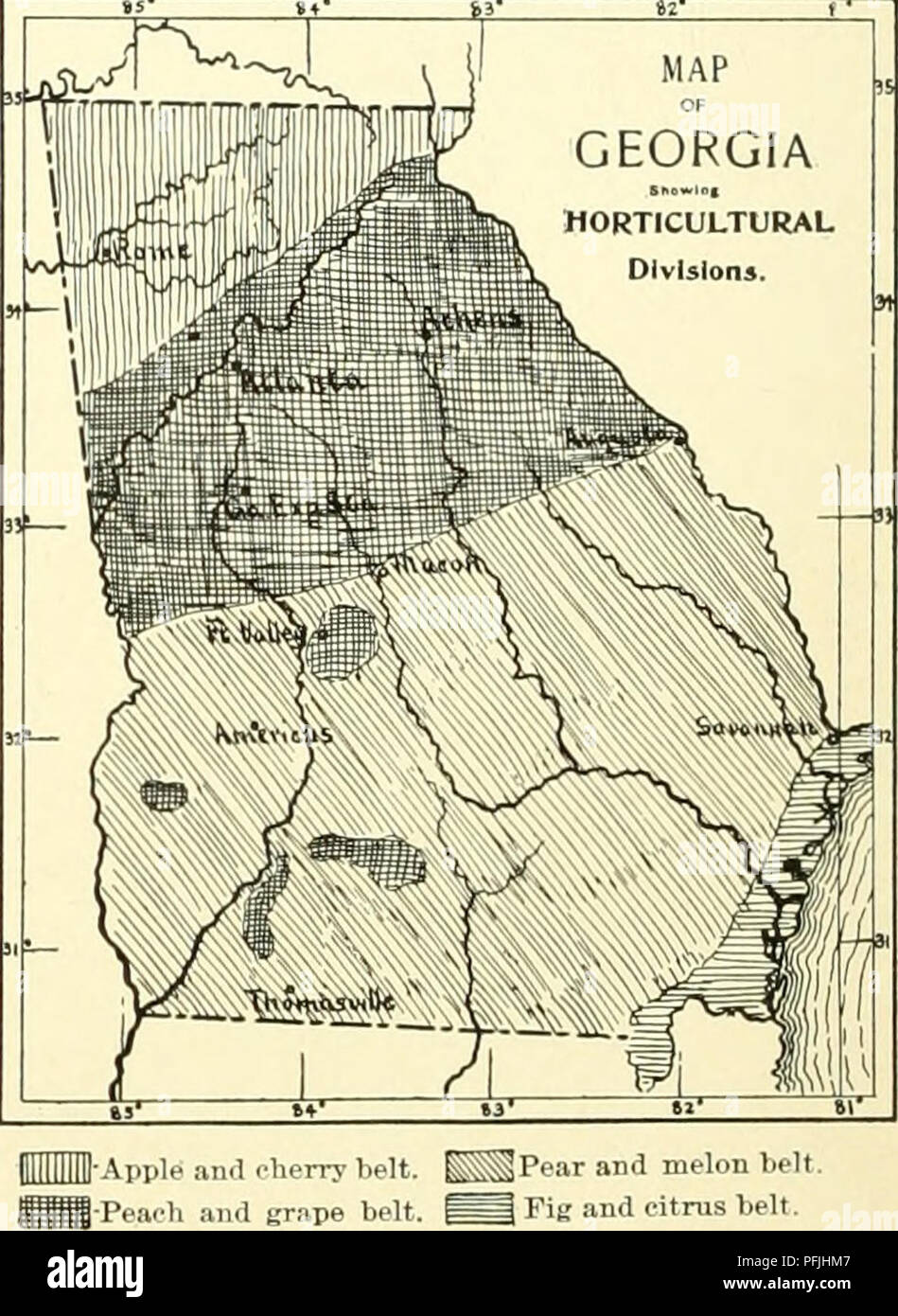 Pinnatisect hi-res stock photography and images - Alamy