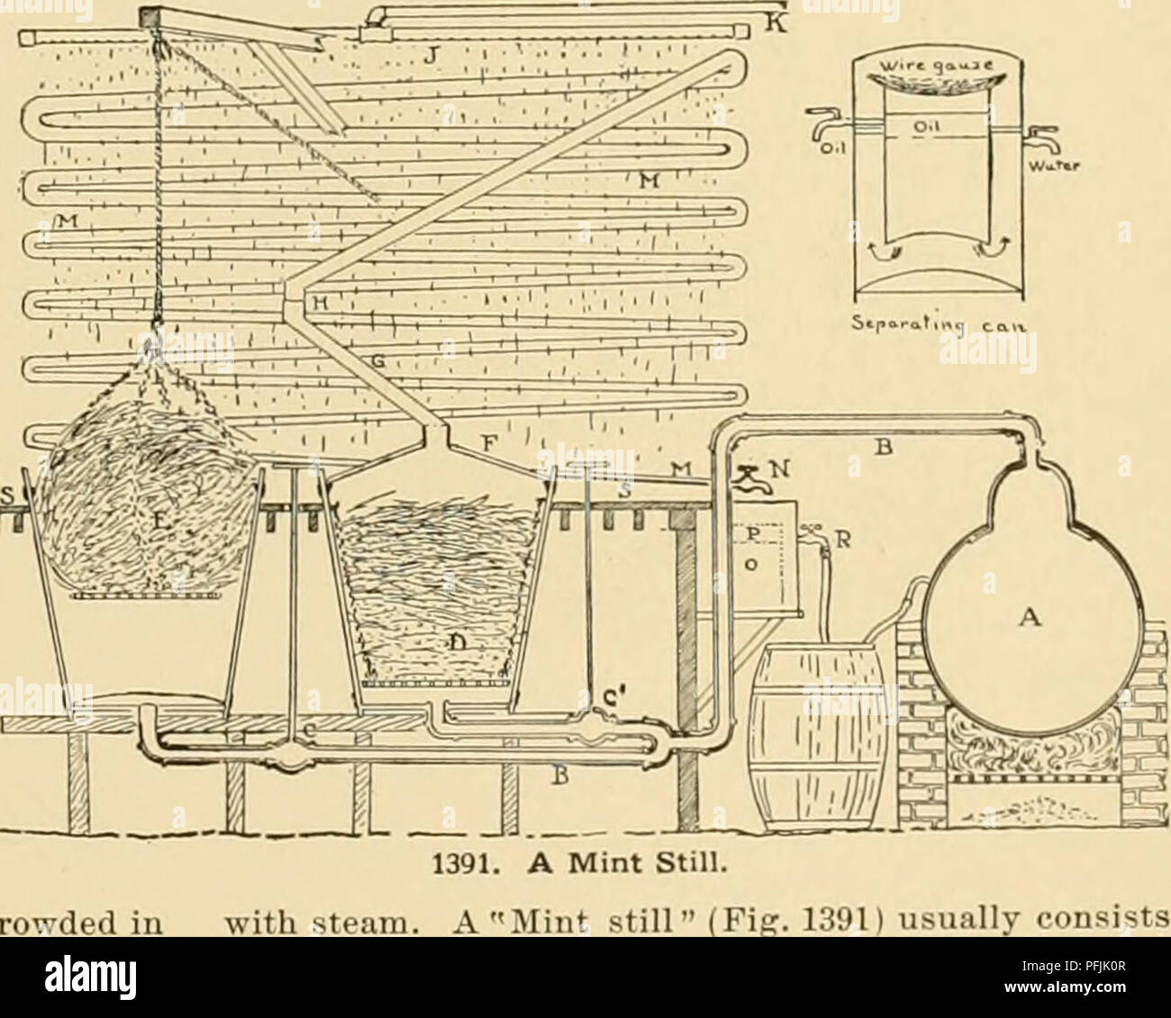 In axillary panicles hi-res stock photography and images - Alamy