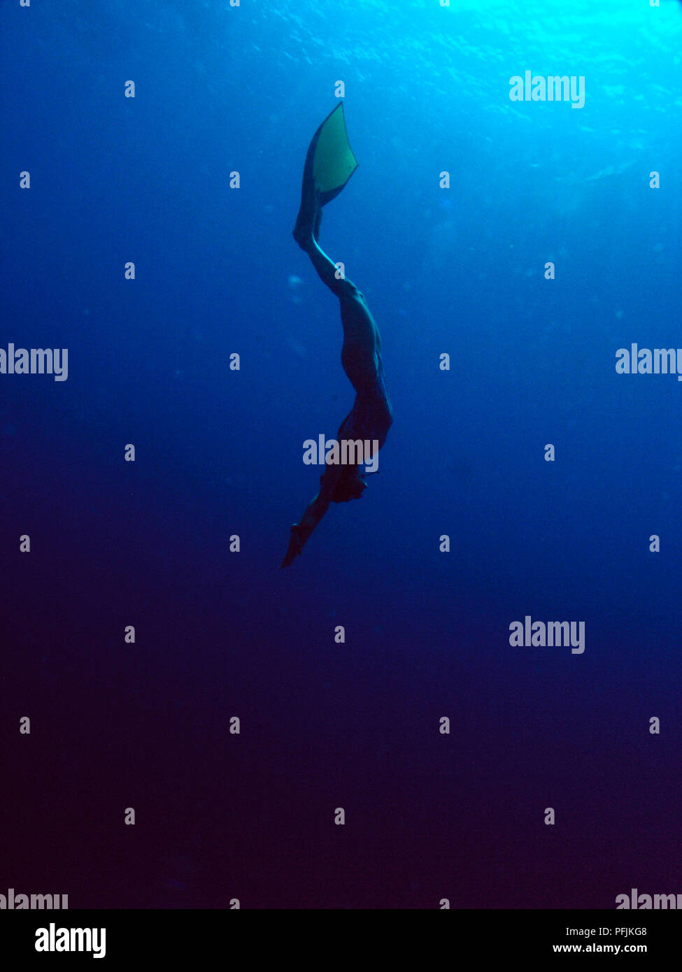 Egypt, Red Sea, near Dahab, female freediver wearing a monofin ...
