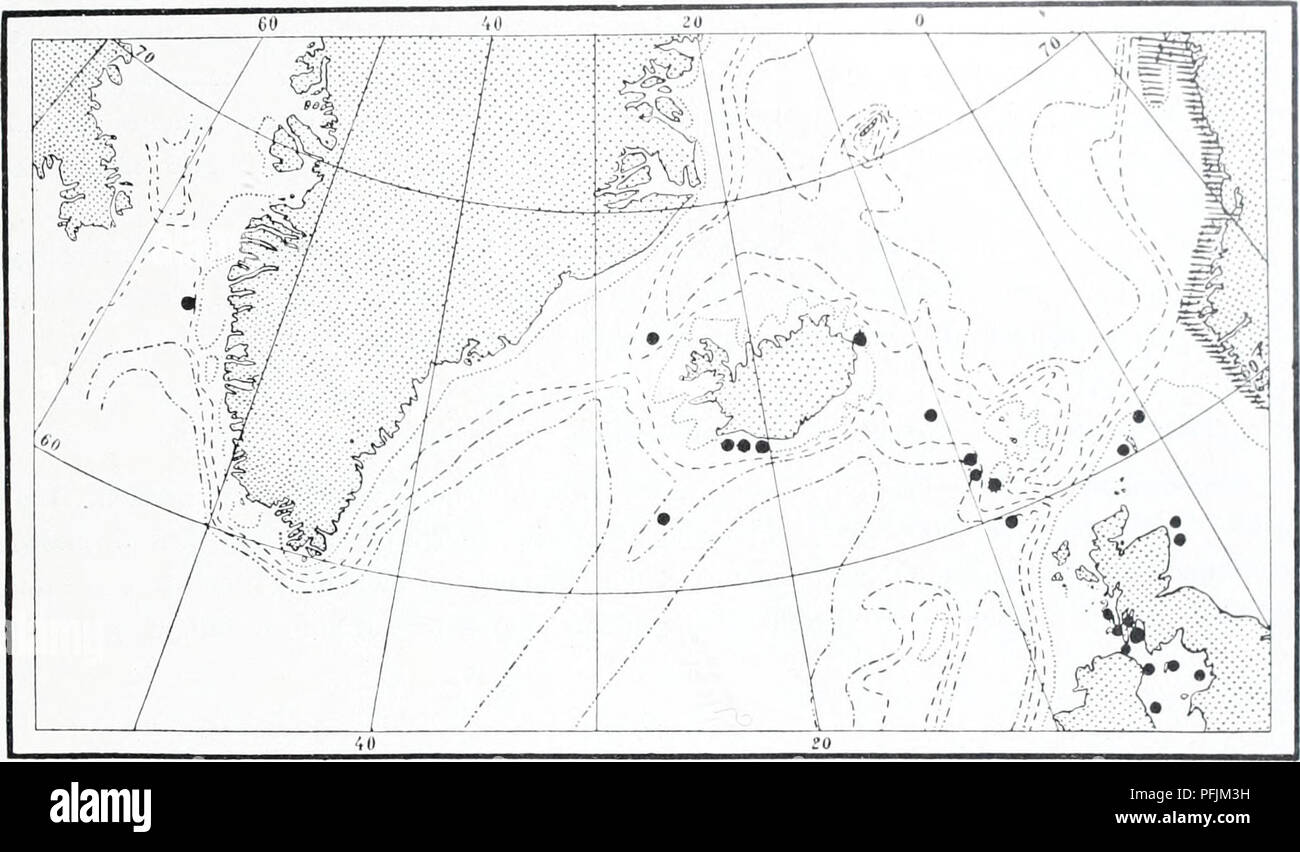 Abyssal regions hi-res stock photography and images - Alamy
