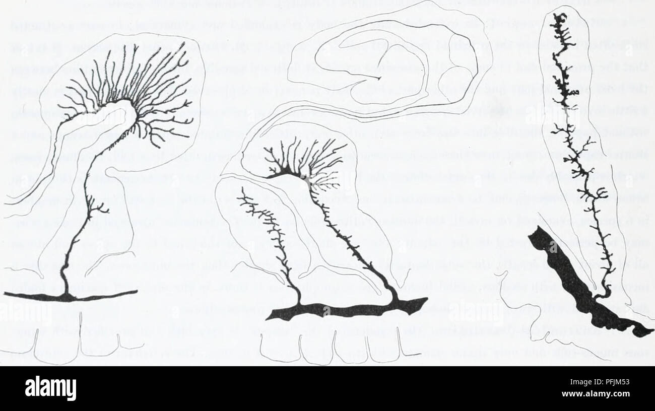 Transverse folds hi-res stock photography and images - Alamy