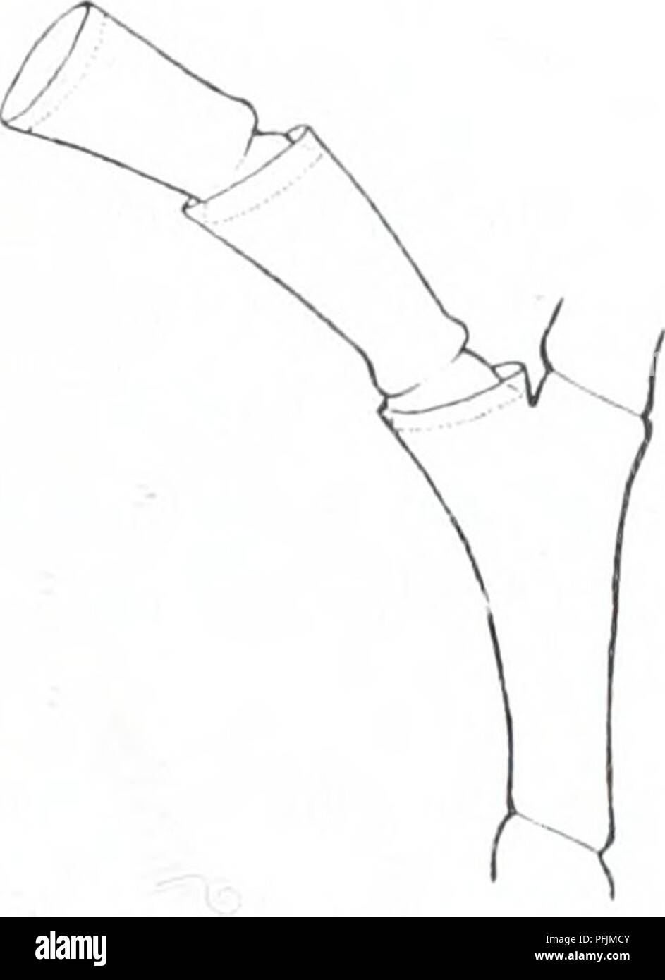 30 fathoms Cut Out Stock Images & Pictures - Alamy