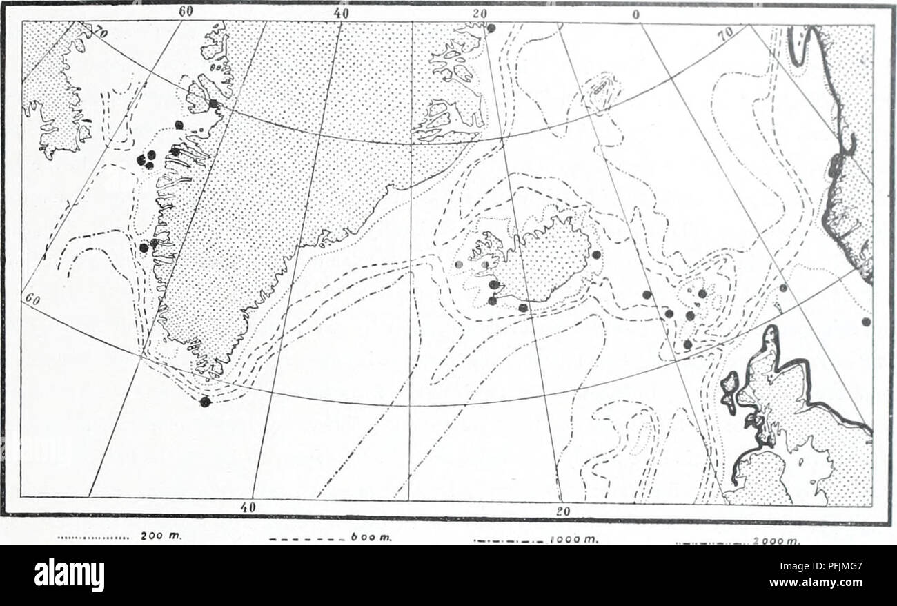 . The Danish Ingolf-expedition. Marine animals -- Arctic regions ...