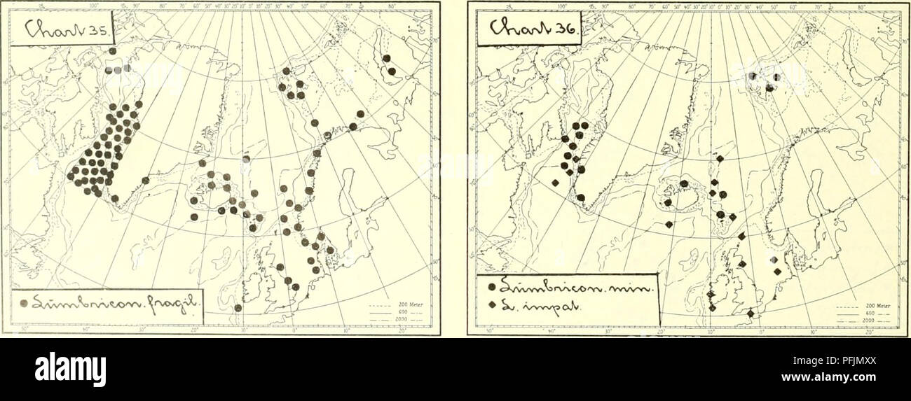 This image documents the marine life explored during the Danish Ingolf ...