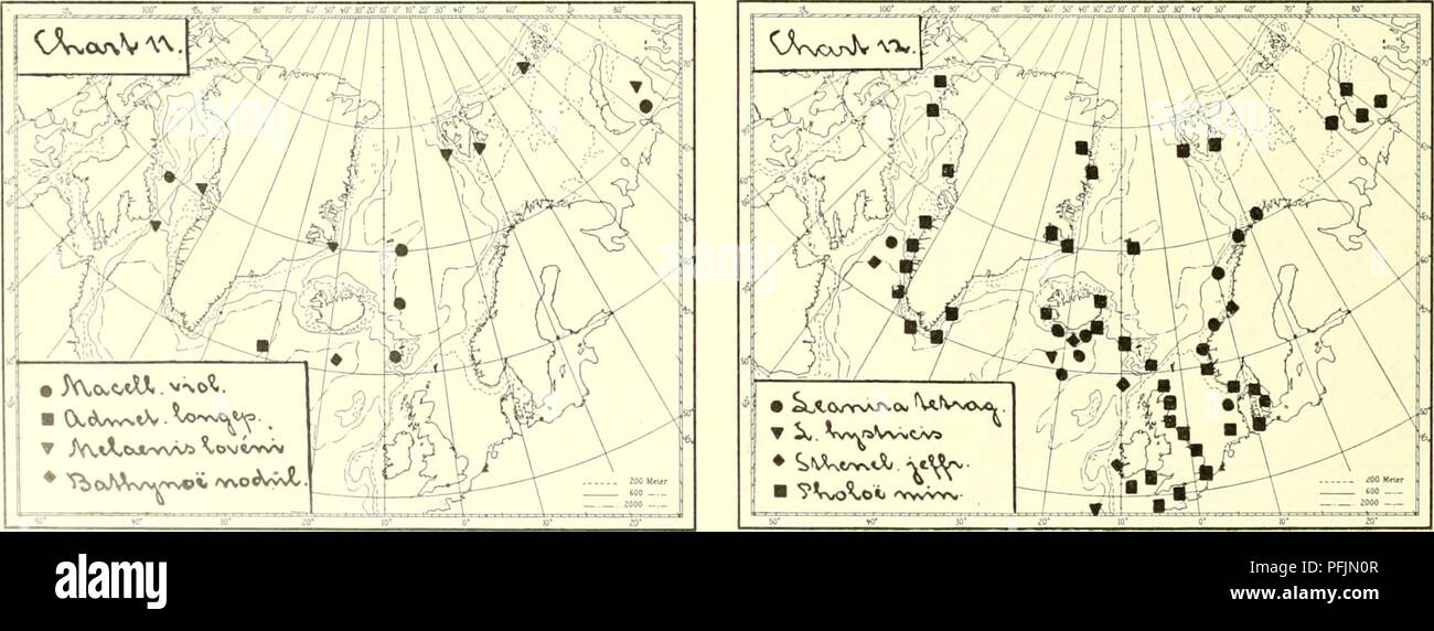 The Danish Ingolf Expedition (1895-1896) explored marine life in the ...