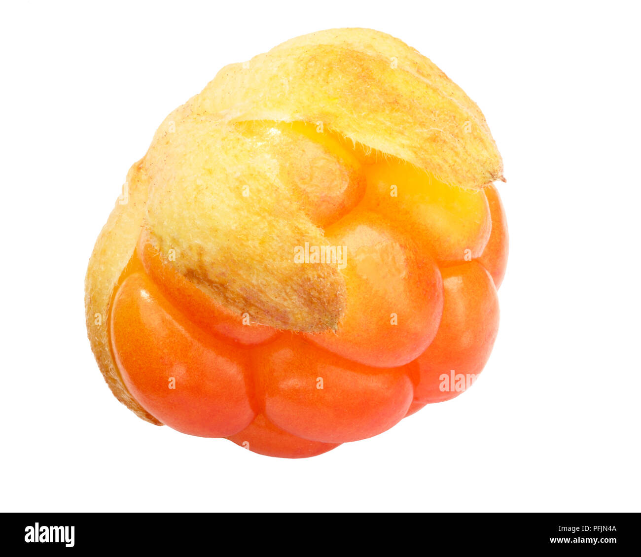 Single cloudberry (Rubus chamaemorus fruit), shadowless Stock Photo - Alamy