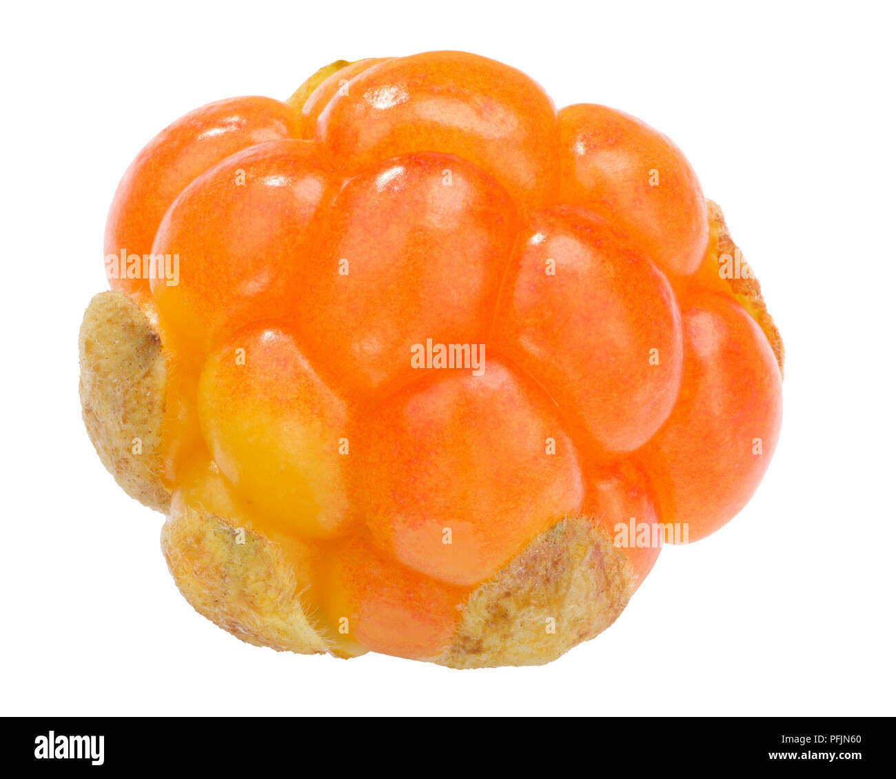 Single cloudberry (Rubus chamaemorus fruit), shadowless Stock Photo - Alamy