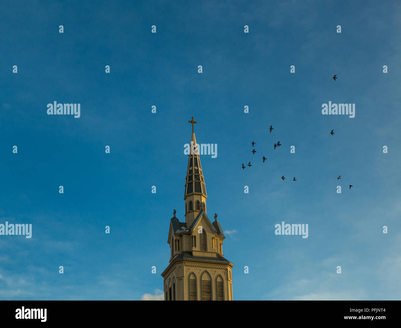 Church and birds Stock Photo - Alamy