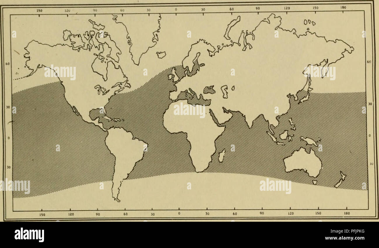 This work provides an overview of marine animals that sting, detailing ...