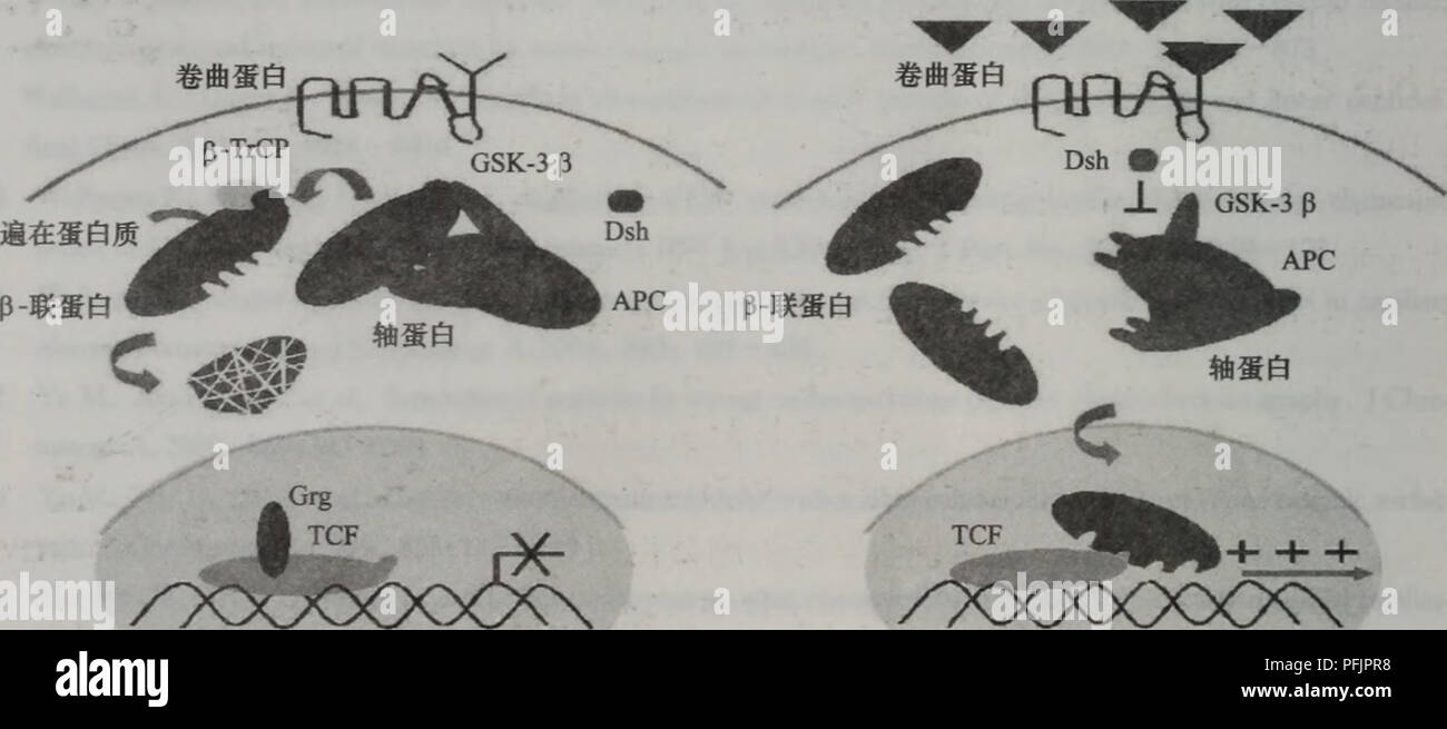 This text explores the intersection of botany and molecular biology ...