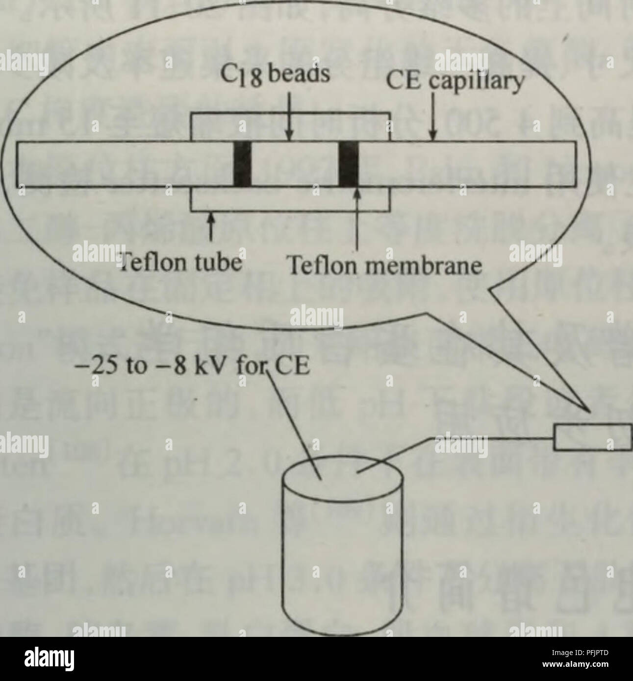 This work explores the intersections between botany and the study of ...