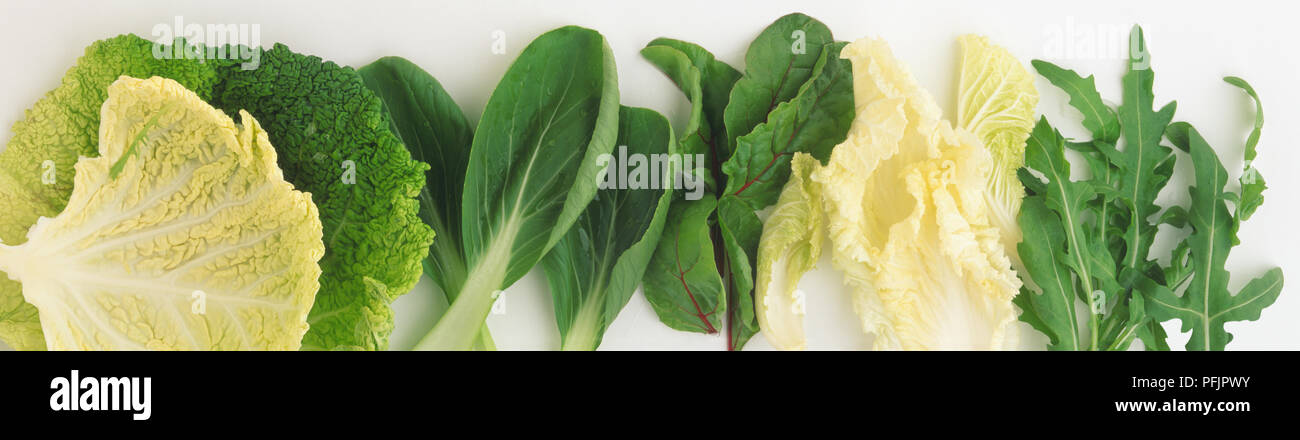 Savoy cabbage pak choi row hi-res stock photography and images - Alamy