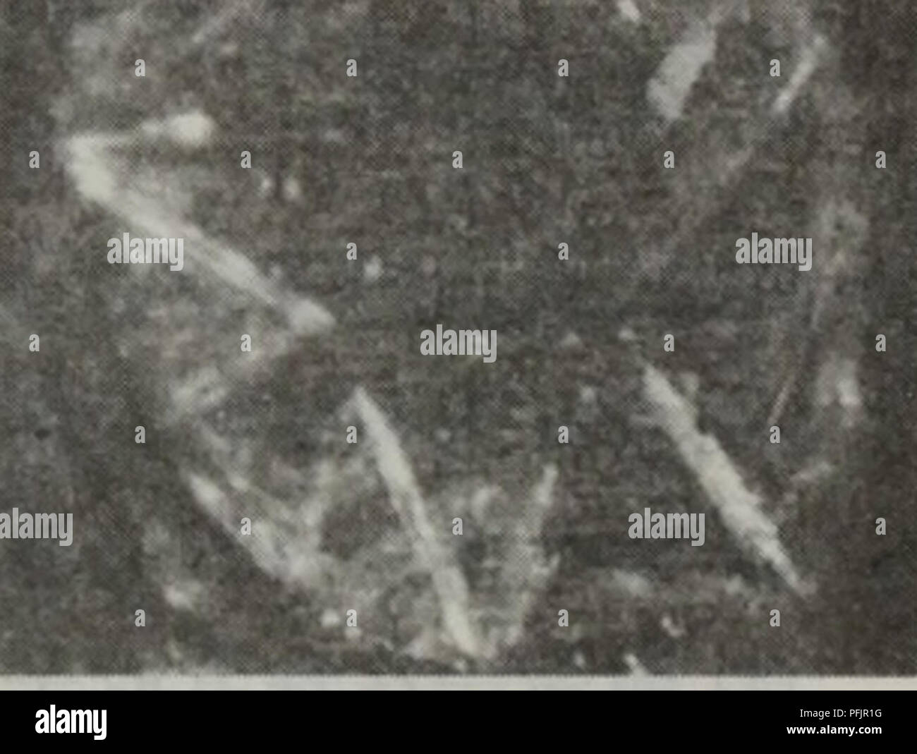 Xue rong rong hi-res stock photography and images - Alamy