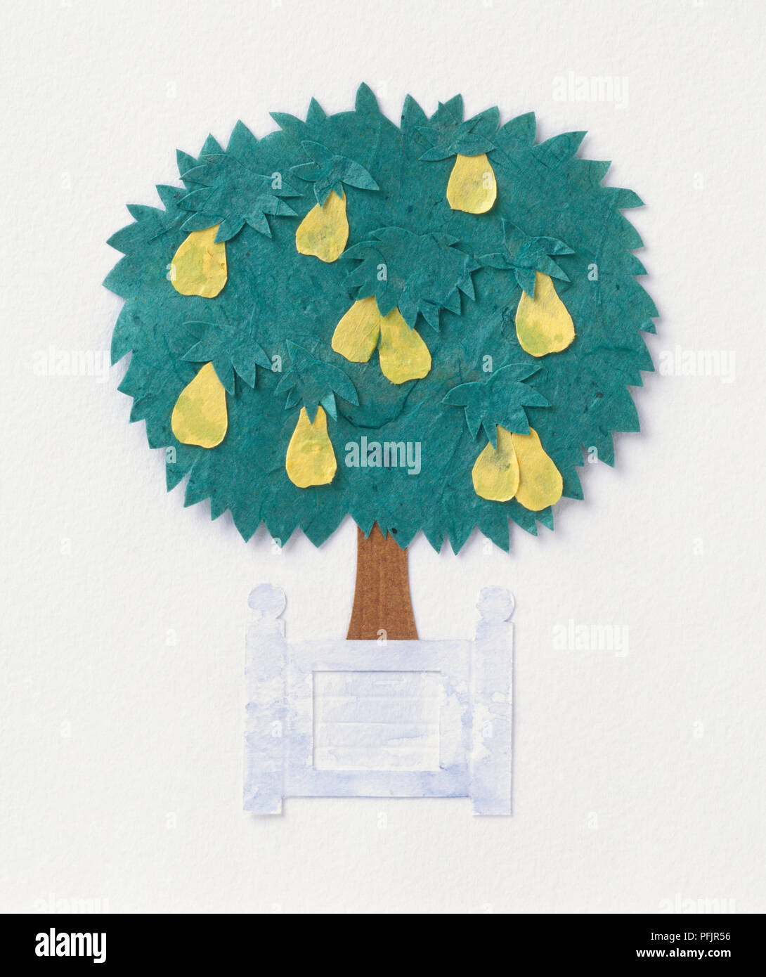 Paper tree shown bearing yellow fruit Stock Photo - Alamy